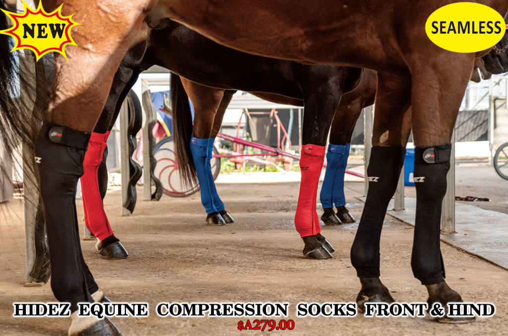 Animal Performance, Recovery & Travel suit:: Hidez Products:: Horse ...