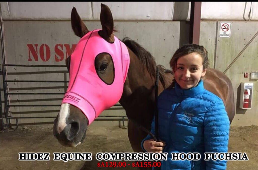 Animal Performance, Recovery & Travel suit:: Hidez Products:: Horse ...