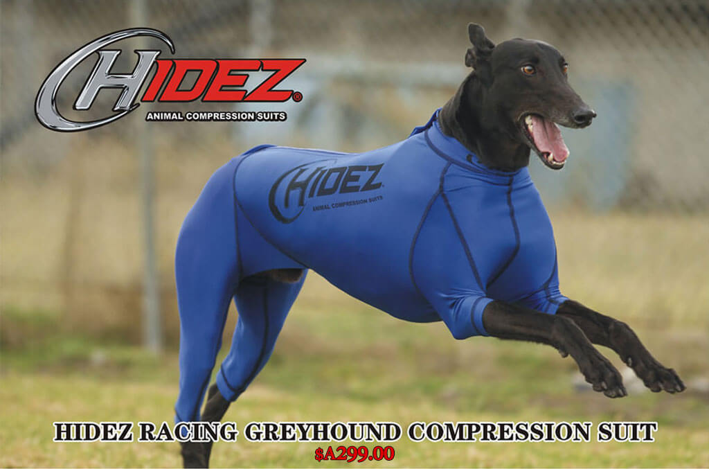 Animal Performance, Recovery & Travel suit:: Hidez Products:: Horse ...