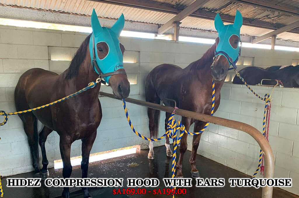 Animal Performance, Recovery & Travel suit:: Hidez Products:: Horse ...