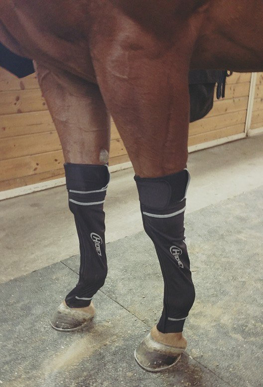 Your browser does not support the video tag.