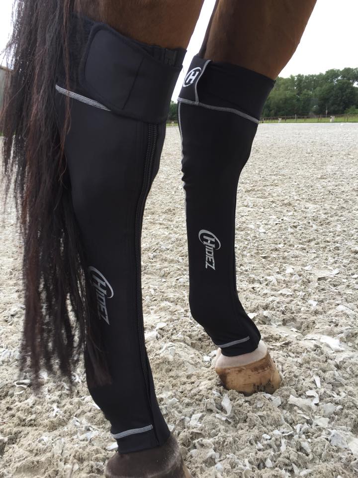 Horse Compression Socks at Olga Rayford blog