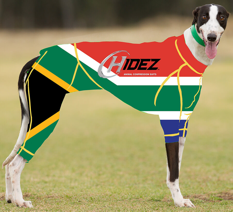 Home Equine Size Chart Canine Size Chart News Privacy Policy